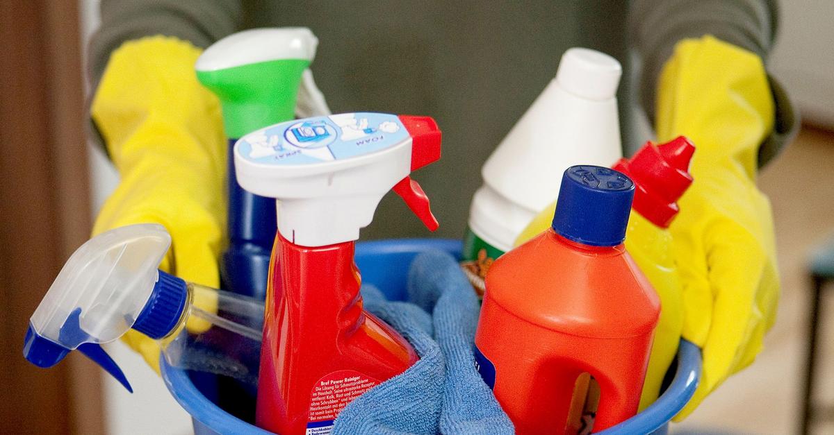 Die Sonne scheint – der Wormel macht Frühjahrsputz